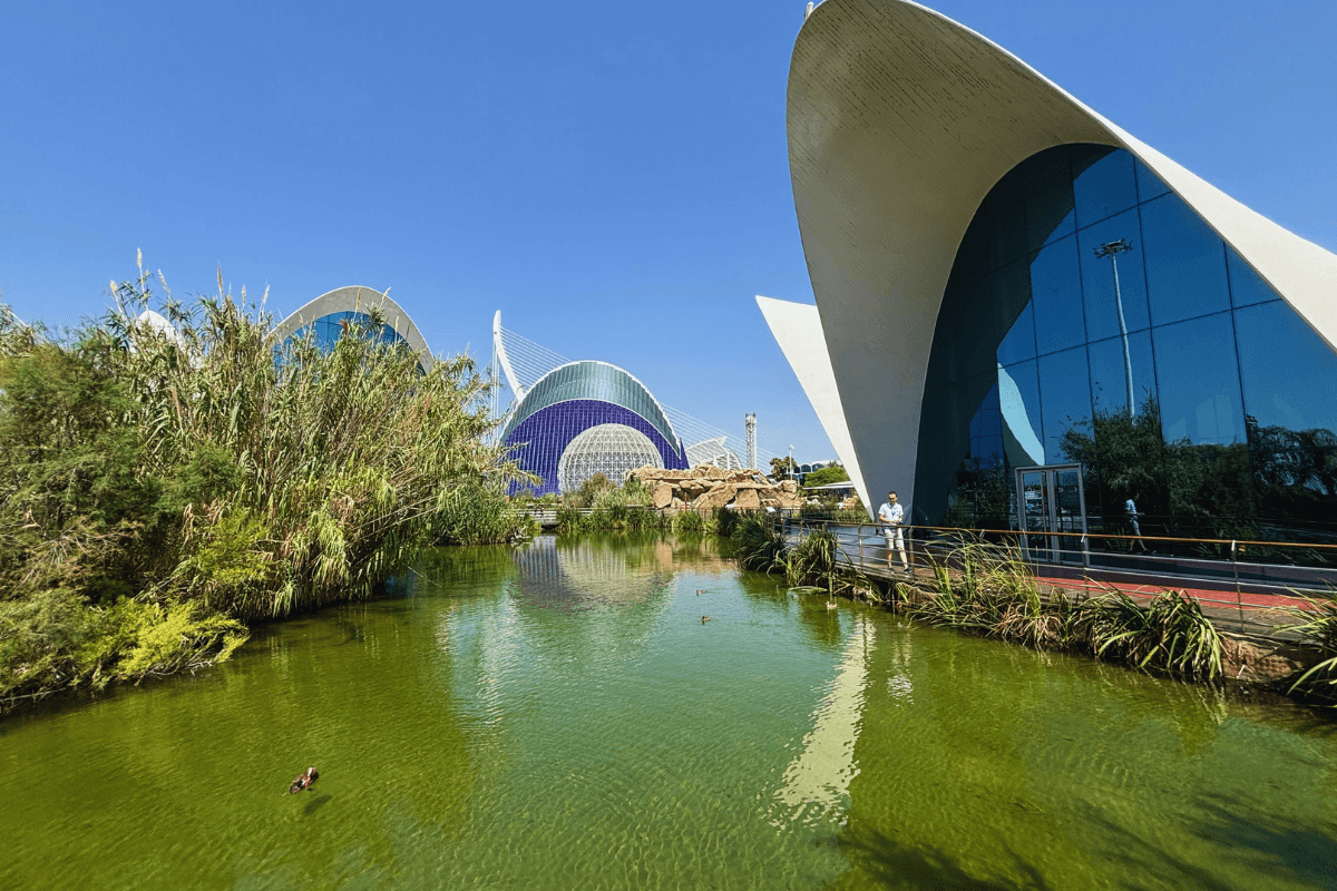 How to Visit Valencia in 3 Days: Essential Tips & Top Activities